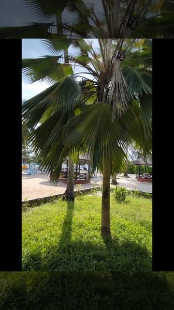 Отель F Zeen 4* Танзания