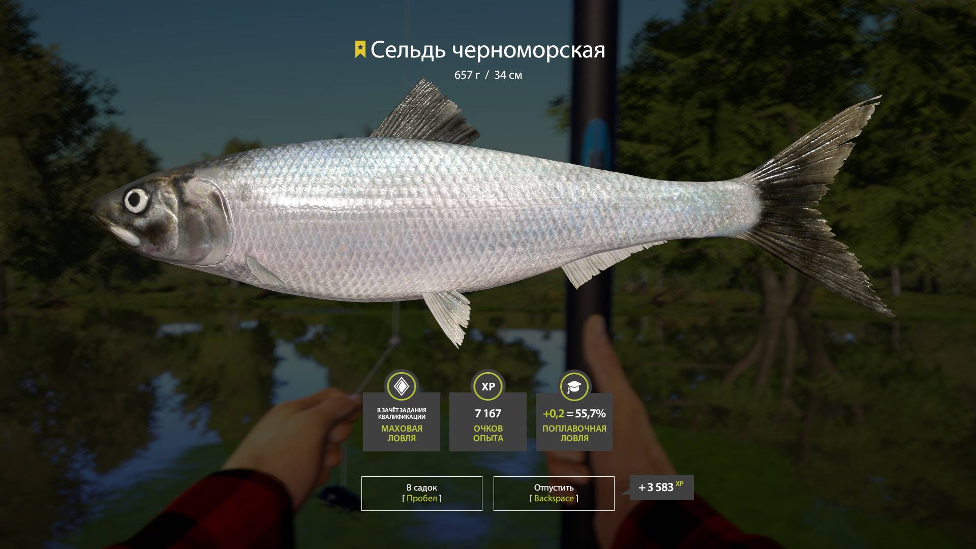 ТРОФЕЙ СЕЛЬДЬ ЧЕРНОМОРСКАЯ!!!СЕВЕРСКИЙ ДОНЕЦ - РУССКАЯ РЫБАЛКА 4