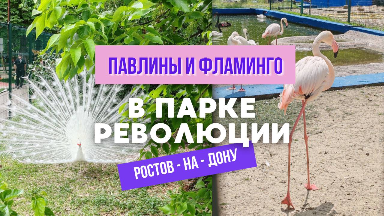 Гуляем в Парке Революции