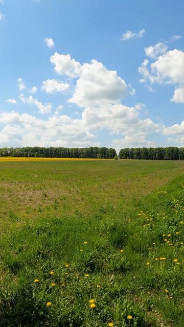 Деревенский cross-country