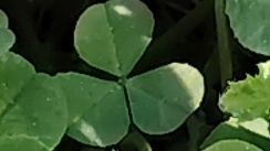 делаю поделки 3 часть конец