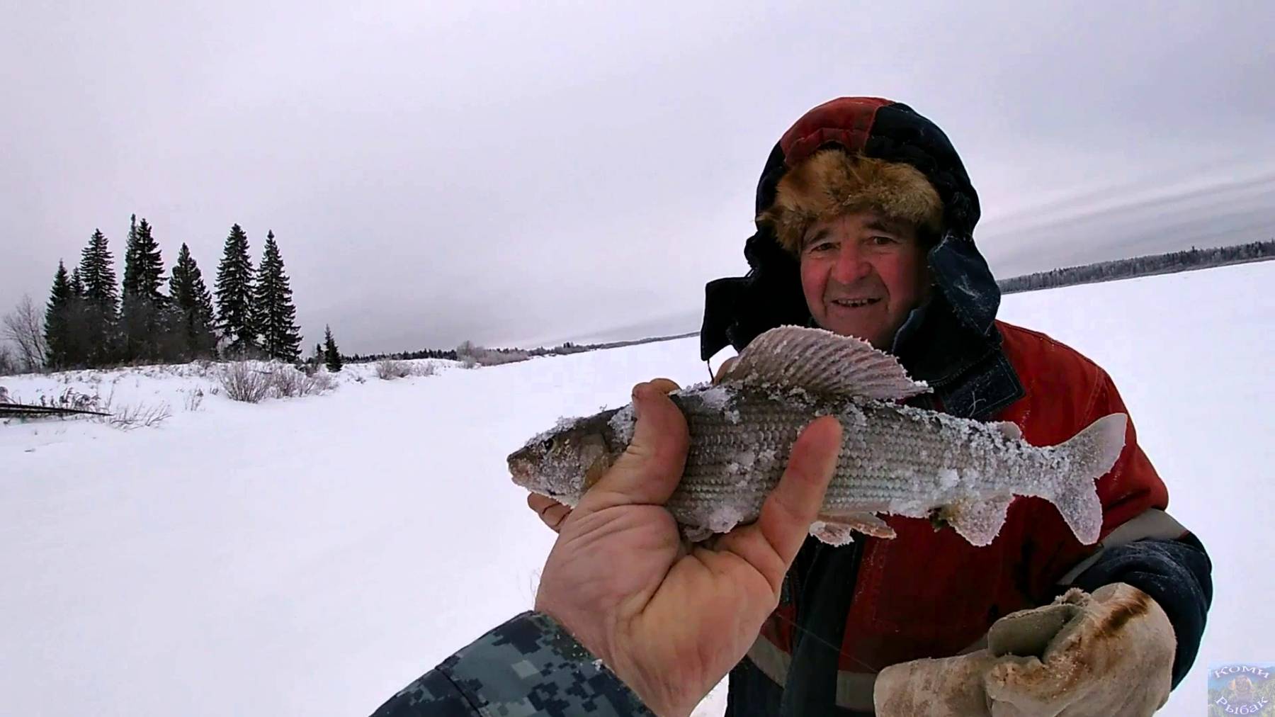 Памяти Григорича. Две последние рыбалки 2019 года. Закрыли сезон палок. С разведкой на лесную речку