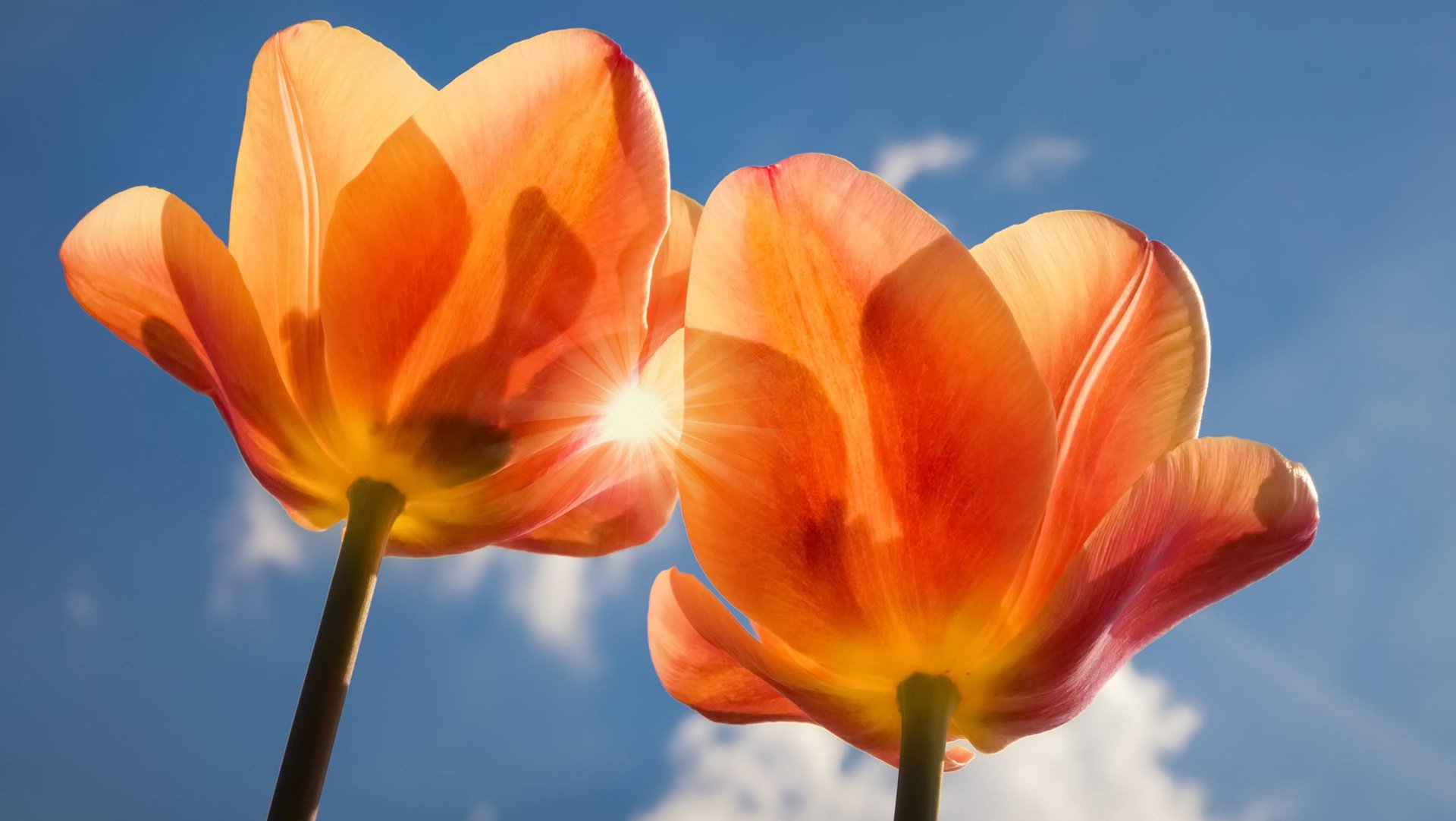 ЛЮБВИ ОКОНЧАНИЯ НЕТ! Стихи о Вечной Любви! Красивые стихи для души, стихи про любовь до слез!