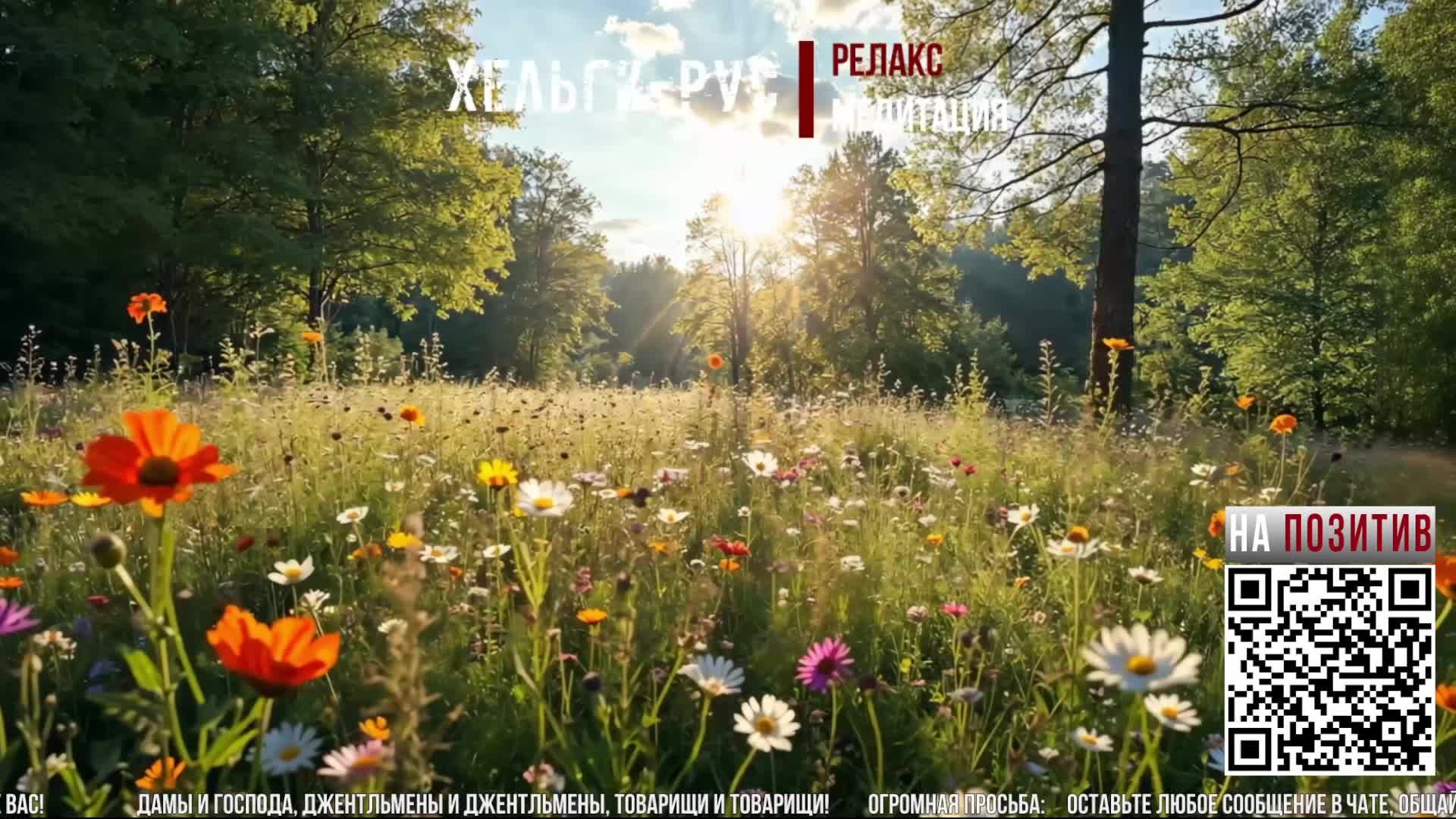 Эмбиент.Релакс.001.Весной на лугу.АСМР.Хельги-РУС