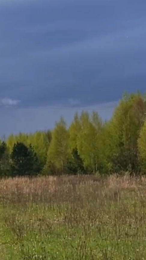 Красивые деревенские поля