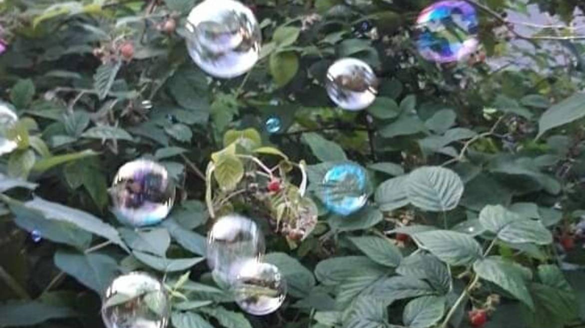 Африка(инстр.)