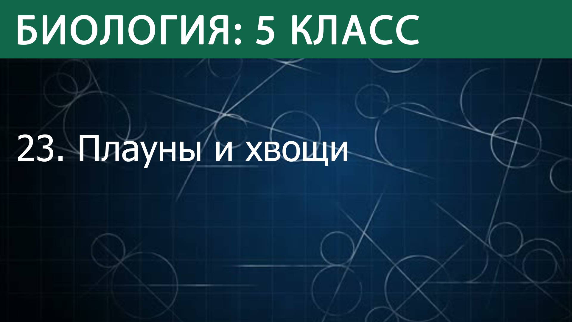 Биология 5 класс: Плауны и хвощи