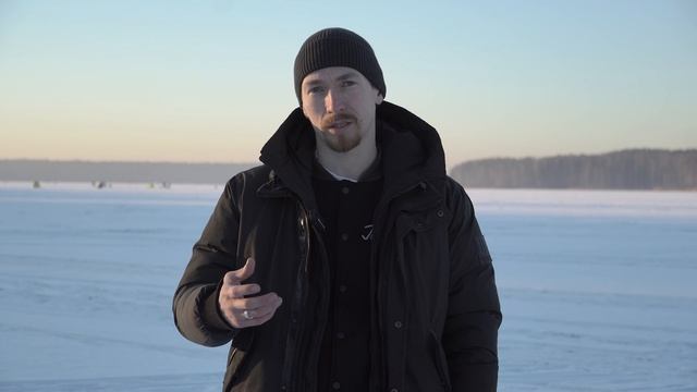 Отзыв от Дмитрия