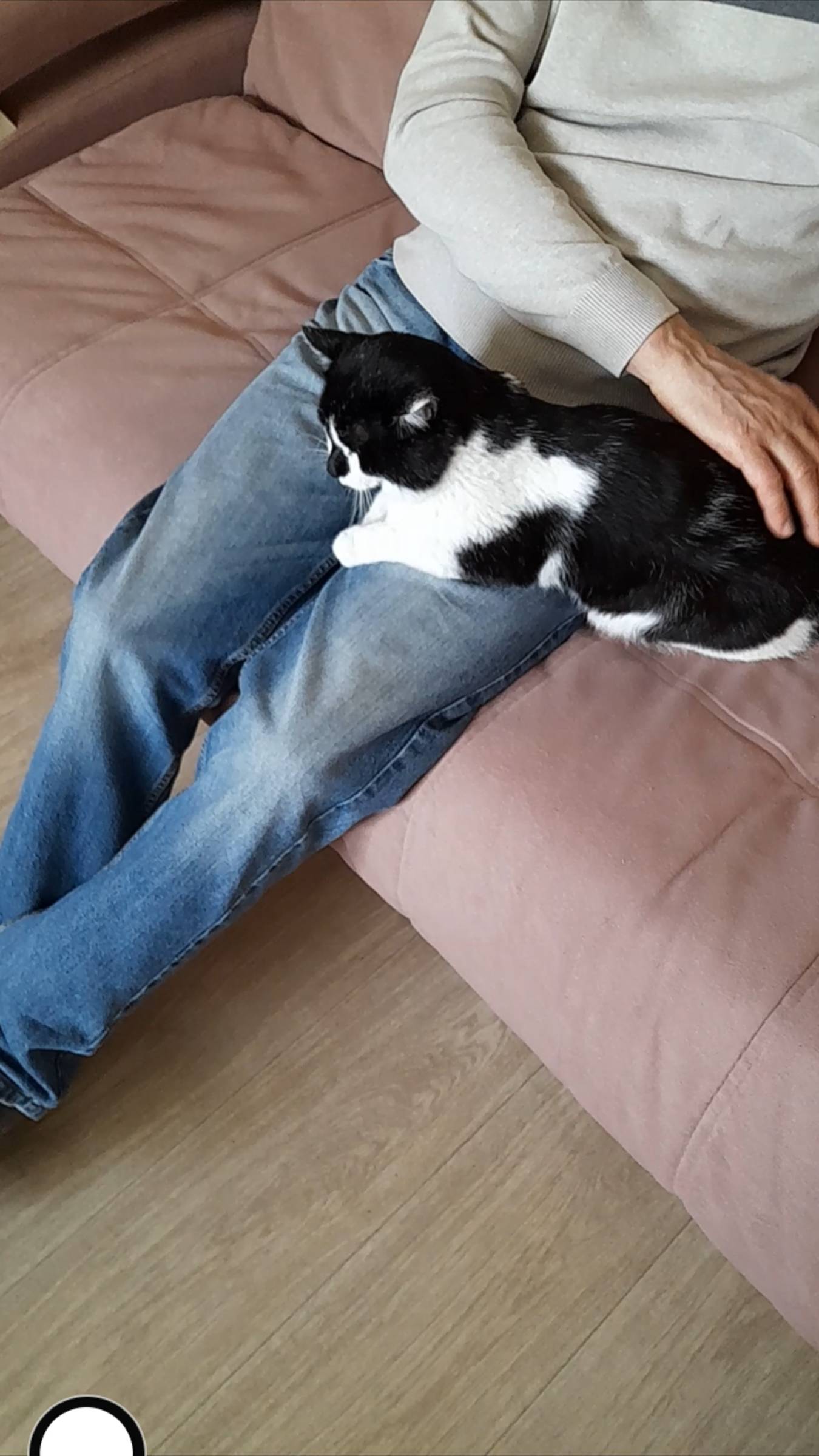 20250517 Как кот Митя с БМ знакомился