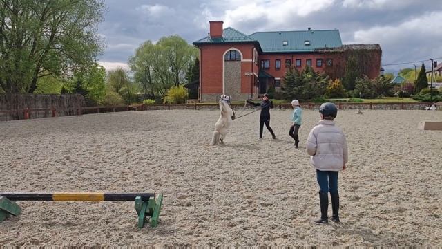 Пони - тренировка