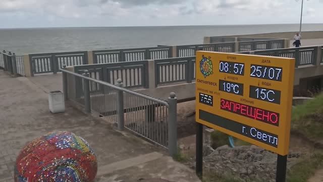 Какая погода в Калининграде