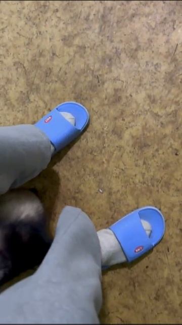 В подъезде бегает