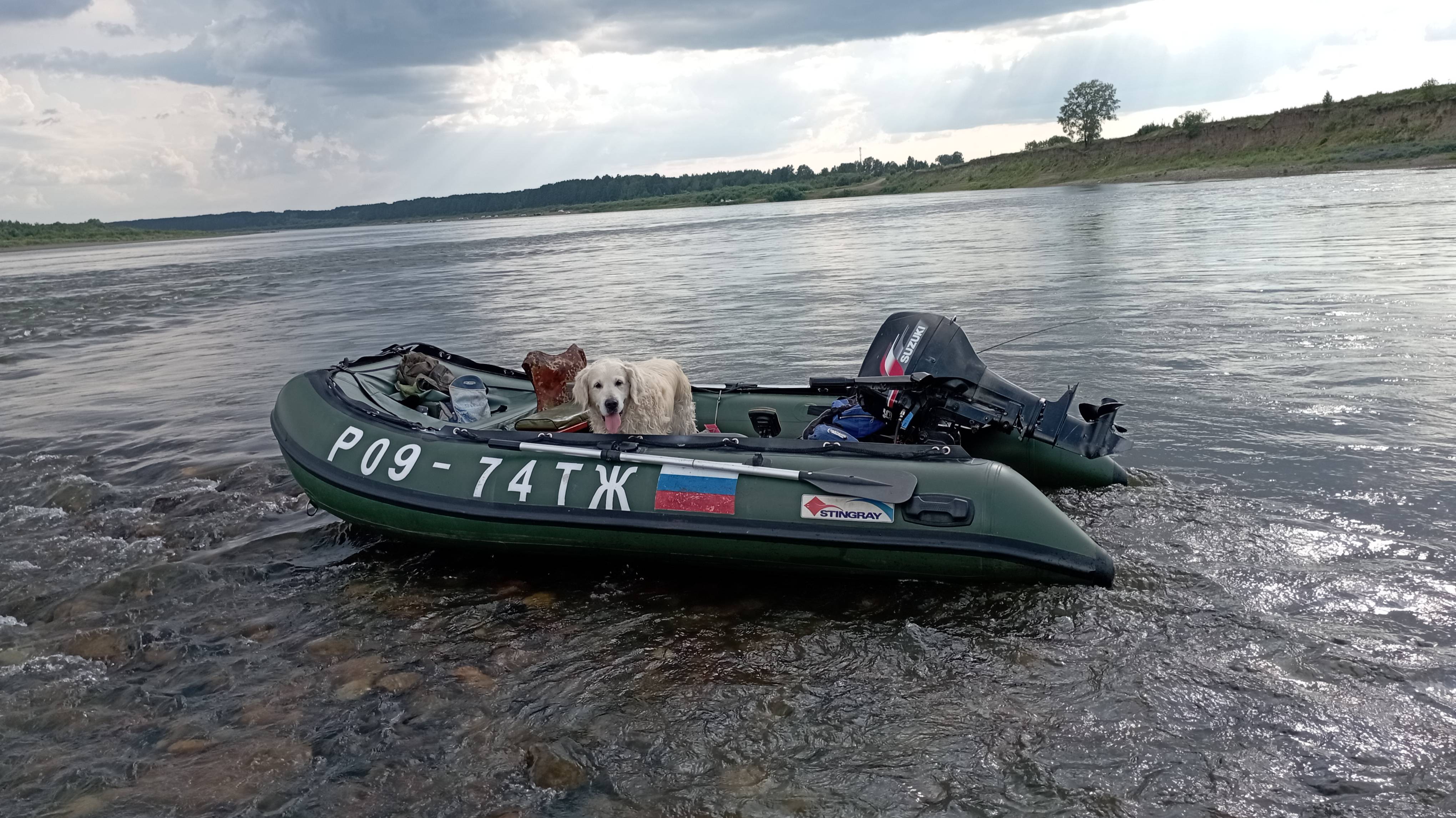 Собака рыбАка