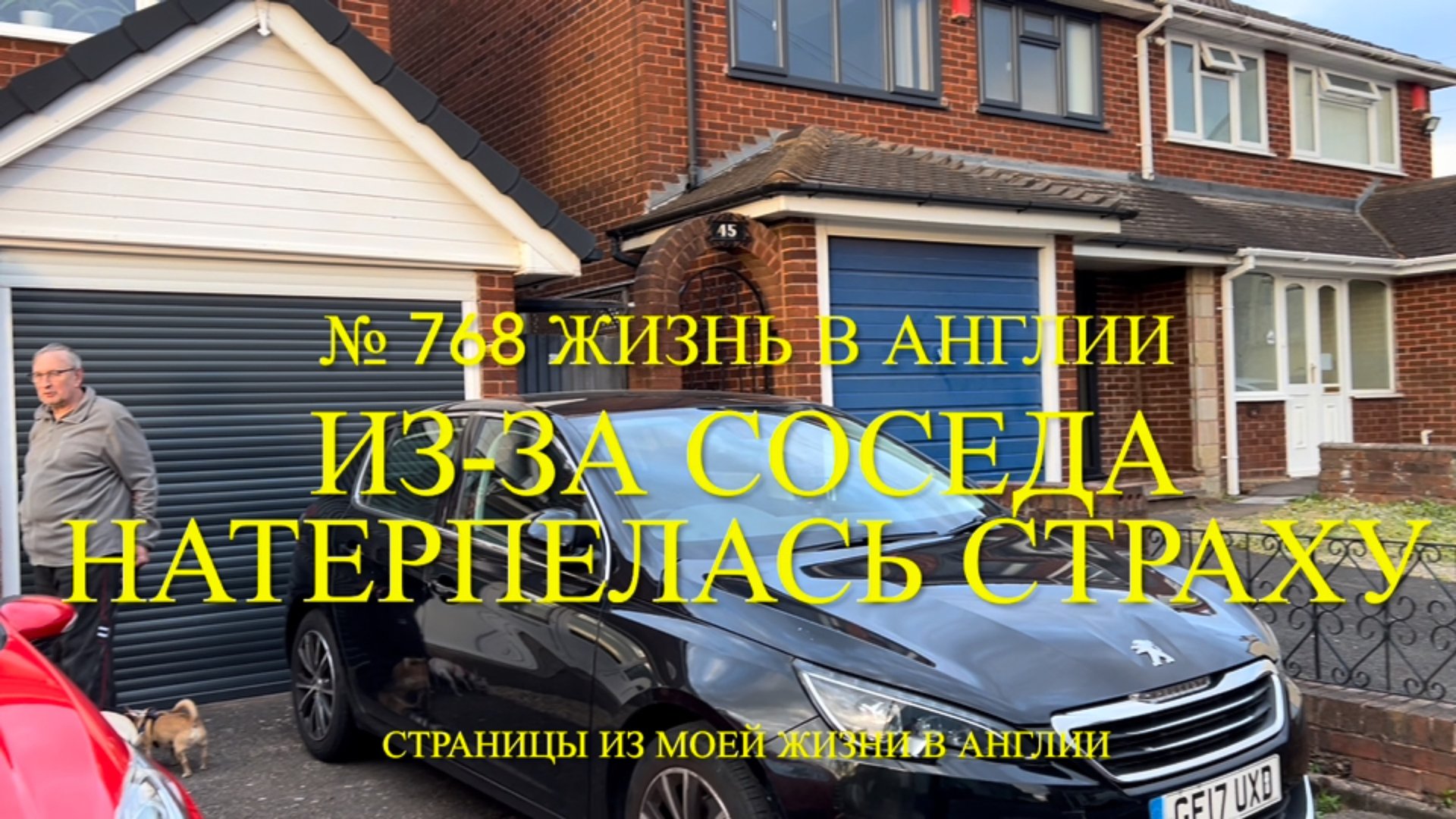 Натерпелась страху из-за соседа. Соседу делают ремонт. Наш сад. № 768 Жизнь в Англии