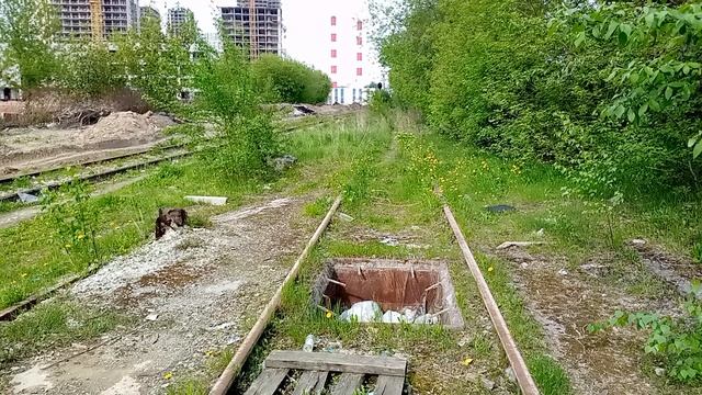 Забытые железные дороги. (Часть 1)
17.05.2025г.