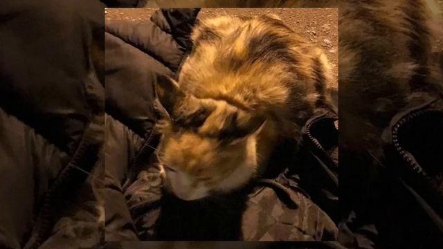 lyaz - Replay (speed up)