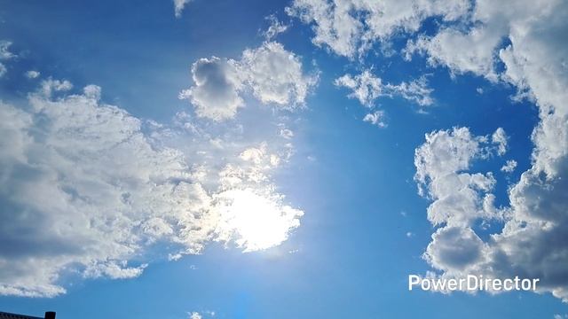 Зайчонок или крольчонок?