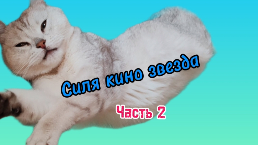 Силя кино звезда часть 2