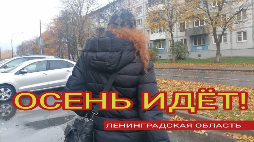 ОСЕНЬ ИДЁТ! ( ПОД ГИТАРУ 170525 ) - МИХАИЛ ЛЕНОВ 238 -