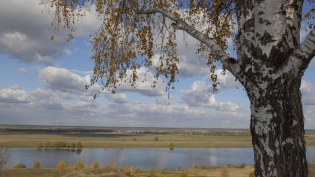 "Песни, песни - о чем вы кричите..."