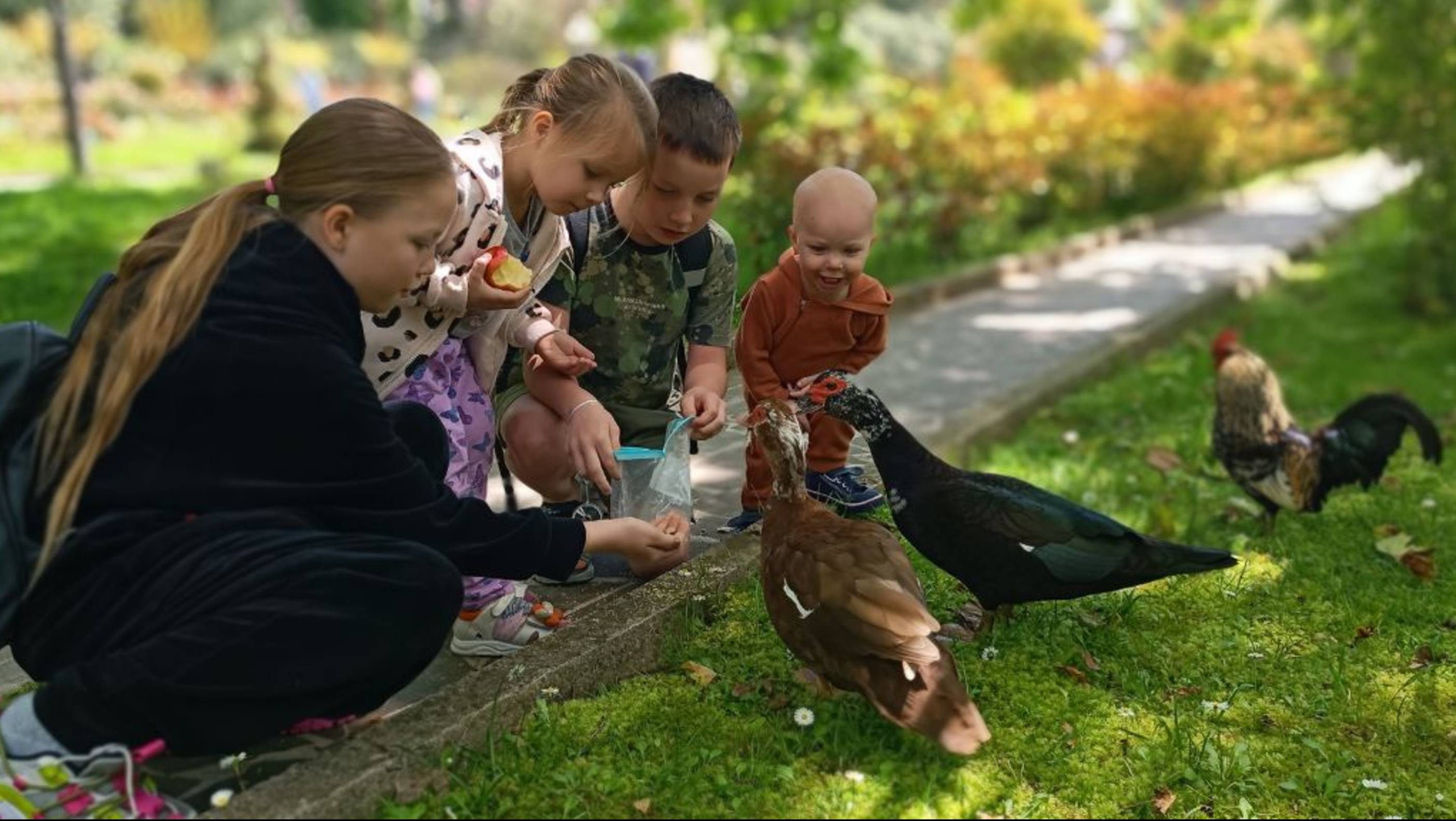 Ягуар вместе с братьями и сëстрами в Дендрарии