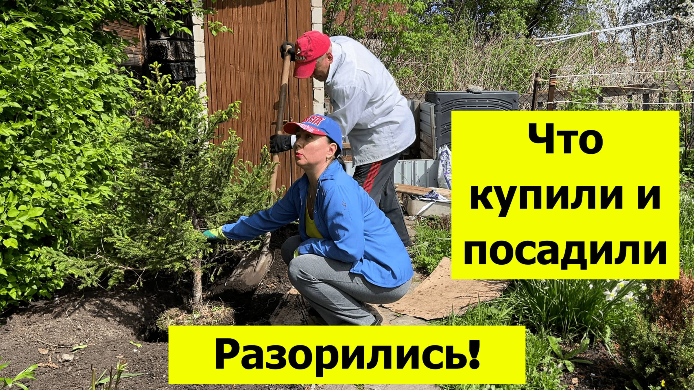 Разорились, купили и посадили! Посадка ели на Южном Урале