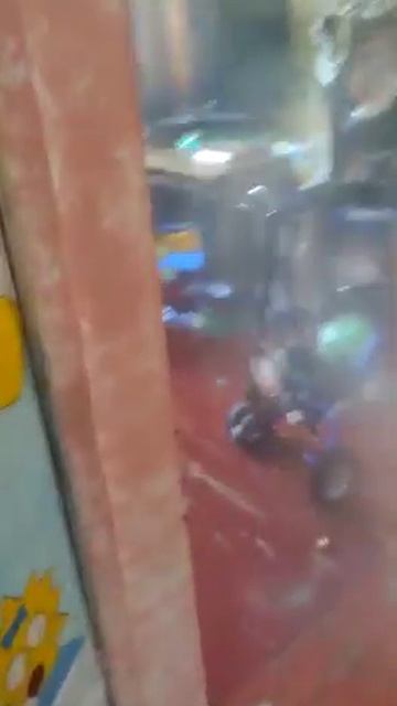 Дезинсекция комнаты