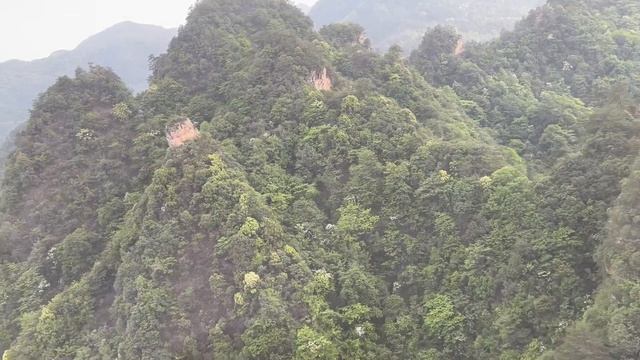 Мои съемки полета над Пандорой 5