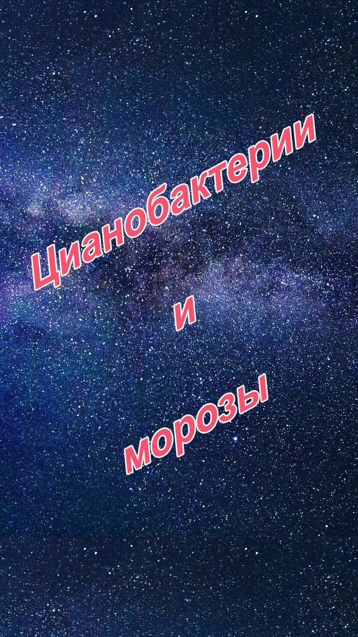 Выживаемость цианобактерий в холоде в зависимости от режима освещенности