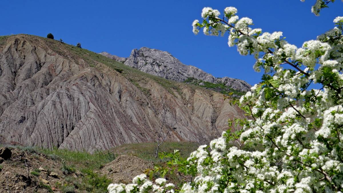 В Лисью бухту по бедлендам и оврагам .