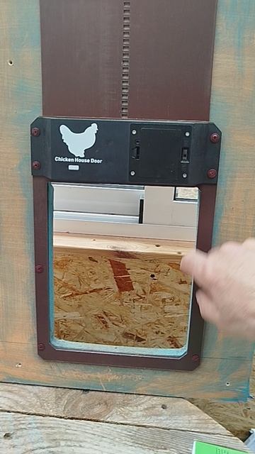 Автоматическая дверка для курятника