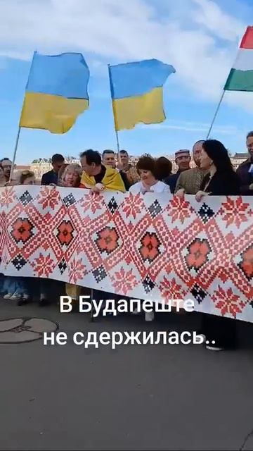 В Будапеште у кочующих щирых отвисли рты