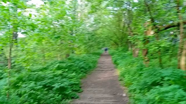 Забытые железные дороги.(Часть 3)
17.05.2025г.