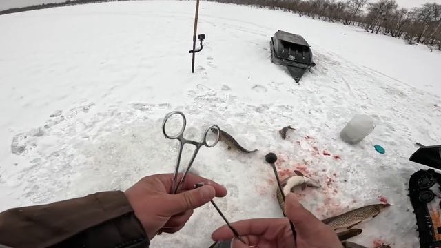 ЗАКРЫТИЕ СЕЗОНА ПО ЩУКЕ | УДАЧНАЯ РЫБАЛКА НА ОЗЕРЕ