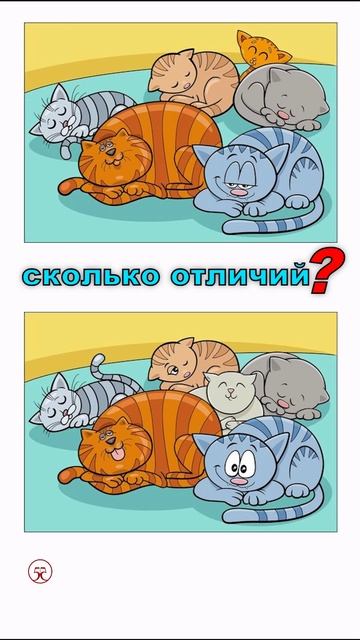 Сколько отличий ❓