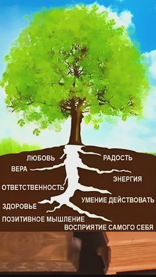 Часть 3. Деревья нам подсказывают #древожизни