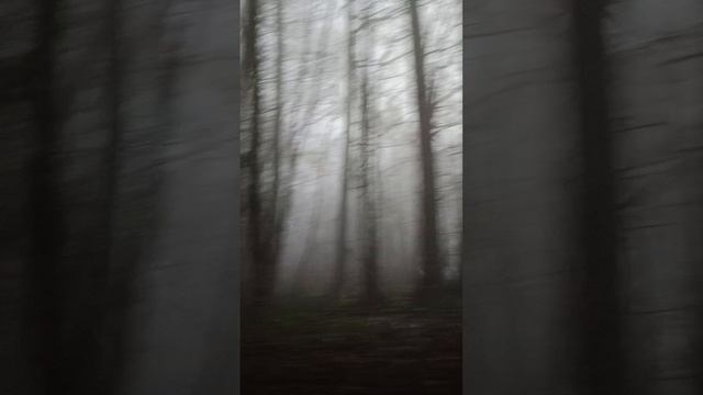 Крым, дорога на Ай Петри