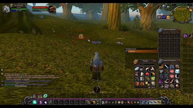 Вов Сирус х2(Кач Друида в честь умершего кота по имени Мусик, которого не стало 5.05.2025 ) 1 часть