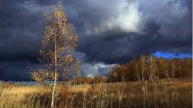 "Сторона ты моя, сторона..."