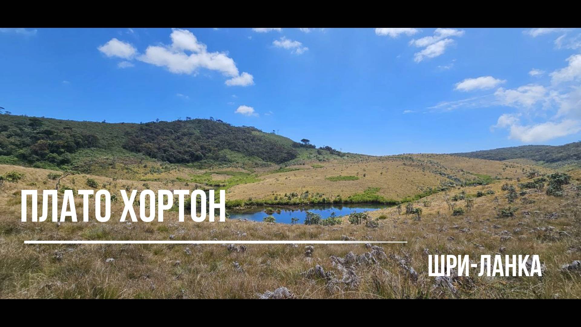 Плато Хортон