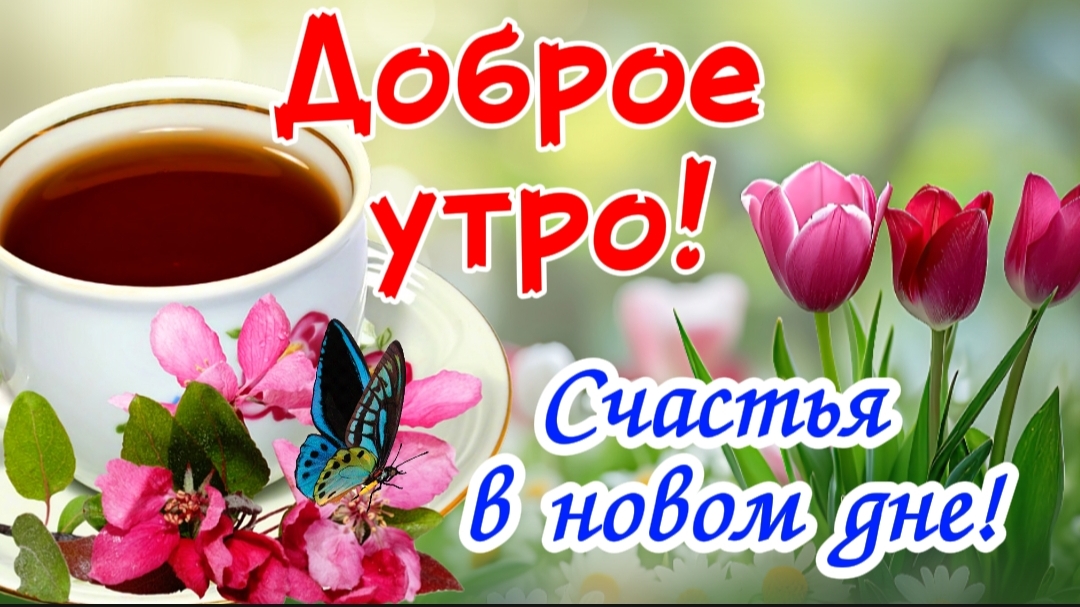 ☕🌺 ДОБРОЕ УТРО! ✨ Яркое утро с пожеланиями добра!