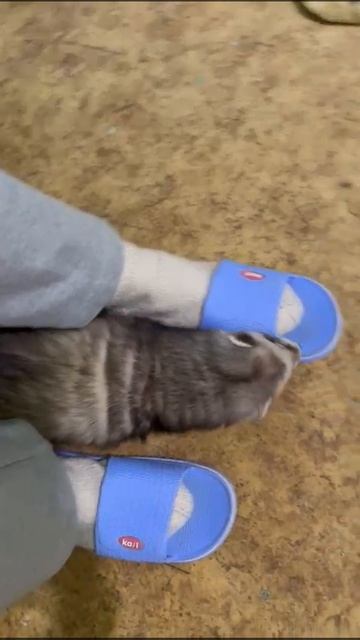 Это кто тут такой?