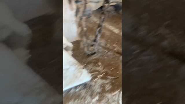 Сеялка СЗ-5,4 Червона Зирка экспресс-обзор от Ивана Чуркина