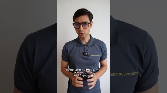 Чего боятся клопы? Эффективность народных методов травли постельных клопов в квартире!