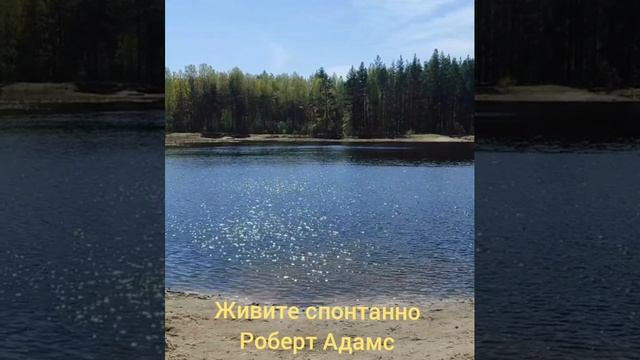 Живите спонтанно Роберт Адамс