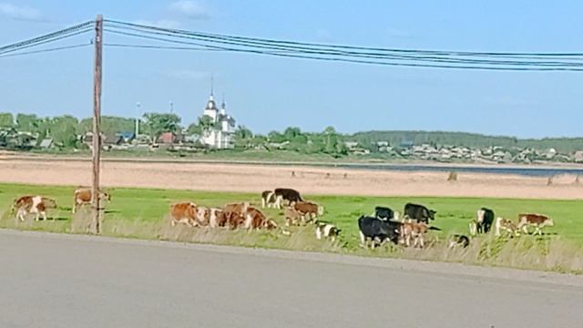 Обзор деревни Губернское 2