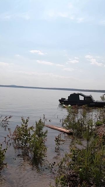 Братское водохранилище летом 2021  #shorts #сибирь #ангара