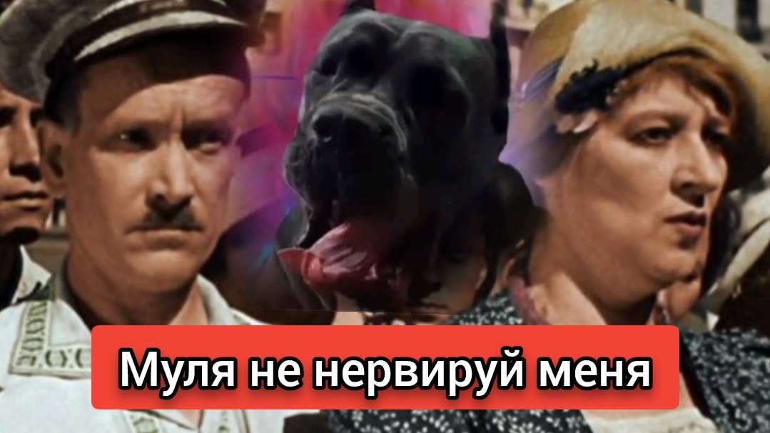 КАНЕ КОРСО НЕРВНИЧАЕТ!