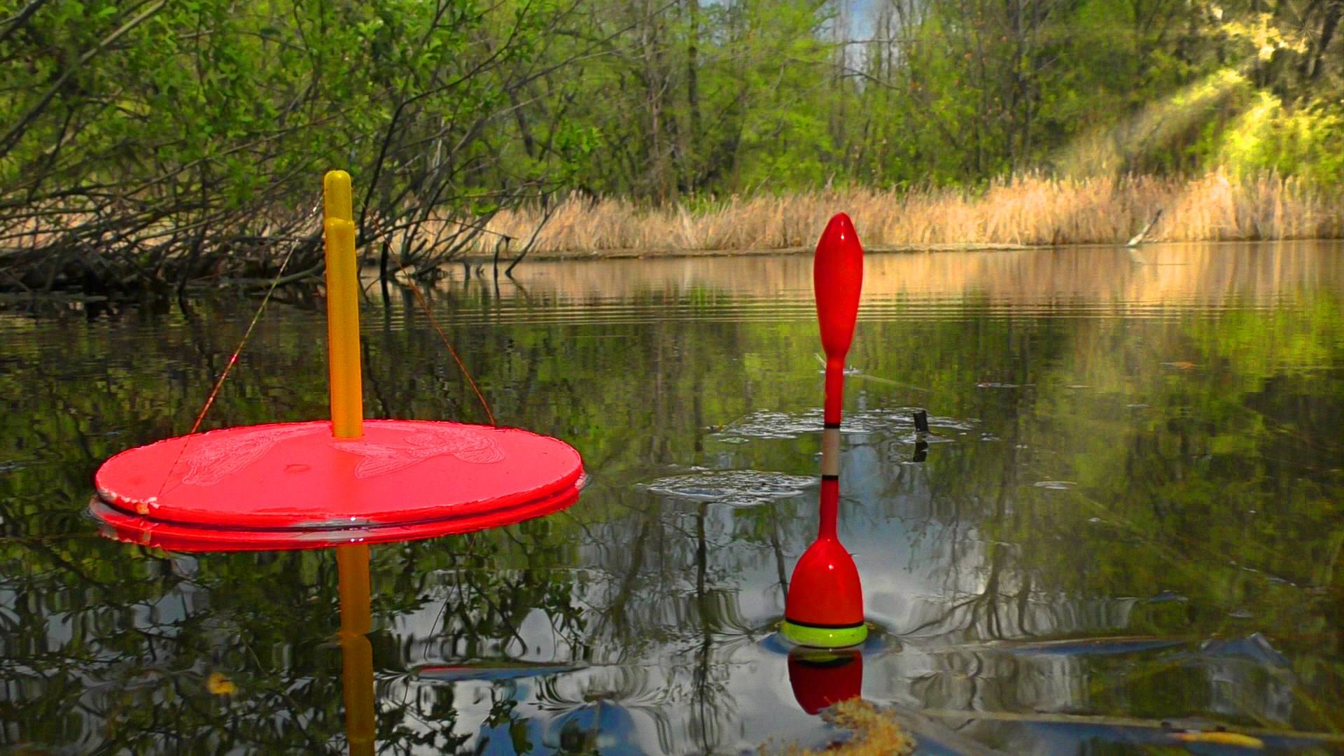 ЭТИ ЩУКИ УТАСКИВАЮТ КРУЖКИ ПРЯМО В ДЕБРИ! ИЩУ ЩУКУ В ЗАРОСЛЯХ КАМЫША.