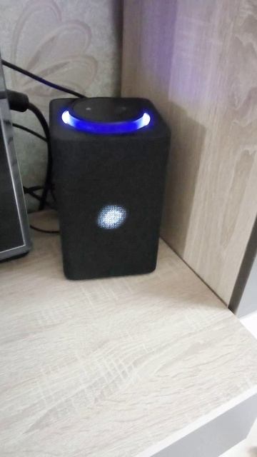 охота на сову по француски